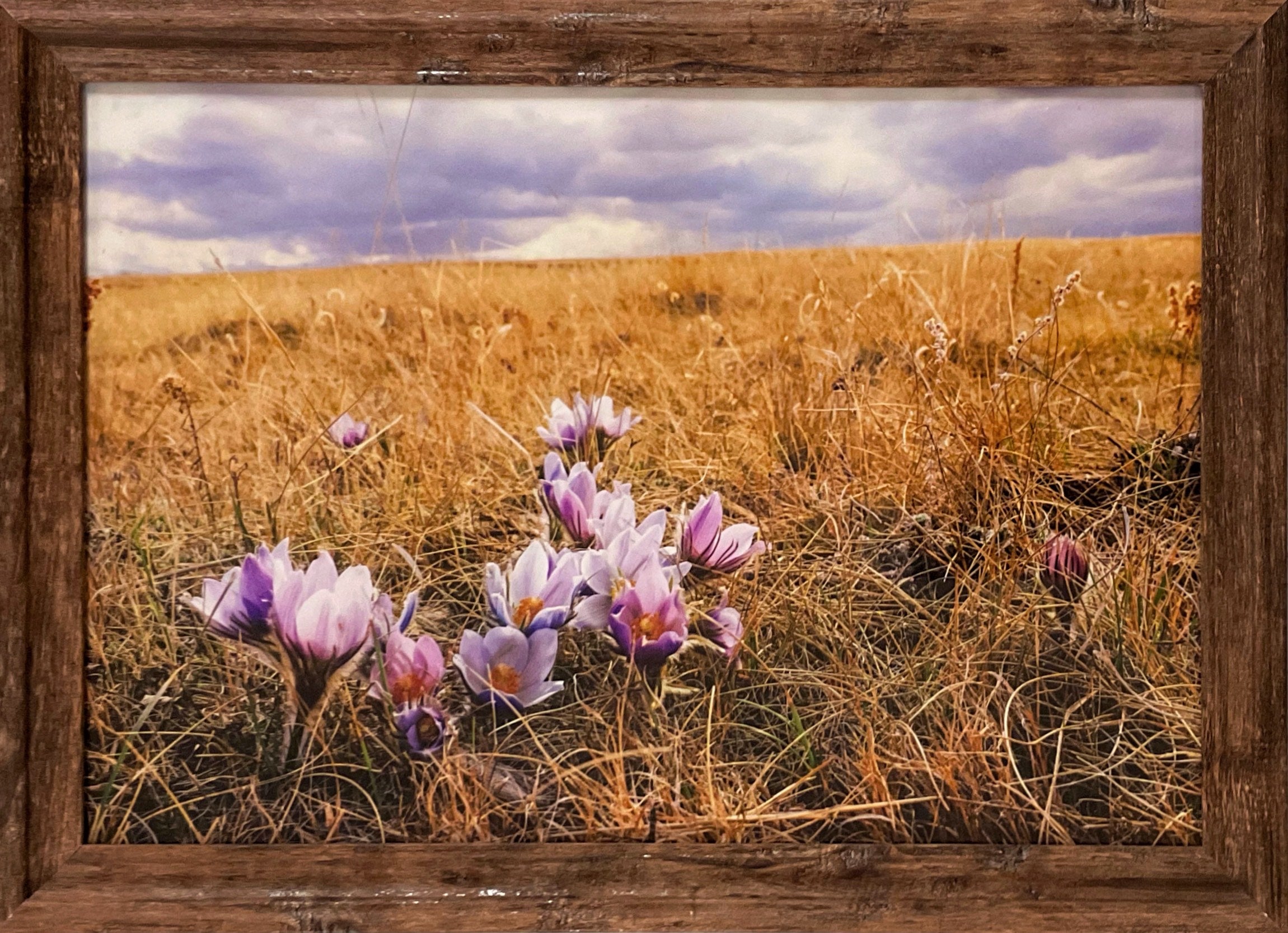 The Pasture – The Vault Cultural Collective